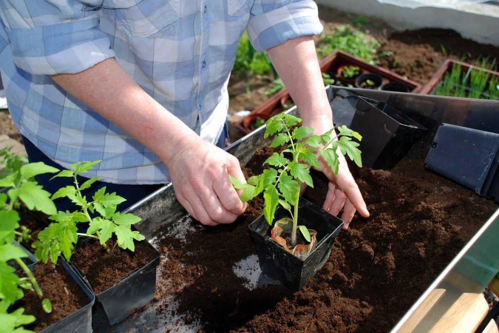 How to Make your Own Seed-Starting and Potting Mix – Garden with Diana